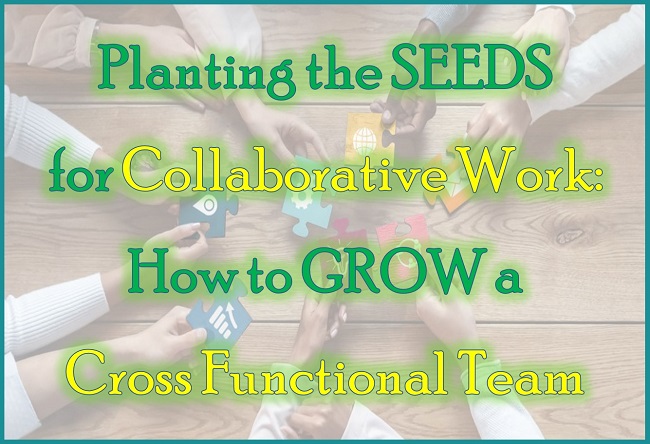 Planting the Seeds for Collaborative Work